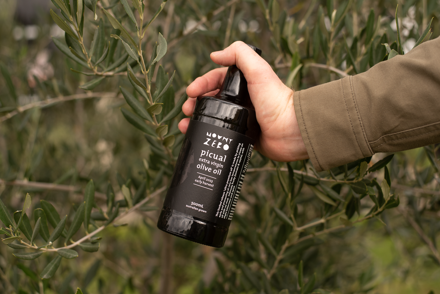 our early harvest picual evoo wins another gold medal! – Mount Zero Olives